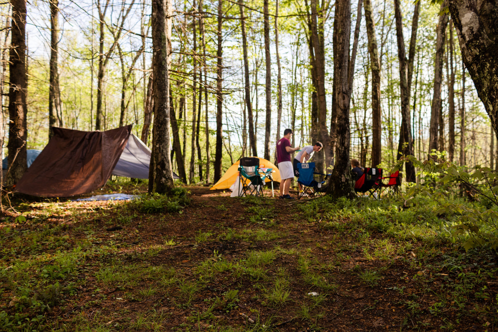 Three Things on Camping at Max Patch | merrymomentsphotographyllc.com
